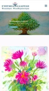 Επίσημοι – Πιστοποιημένοι Συνεργάτες Google - optimadesign